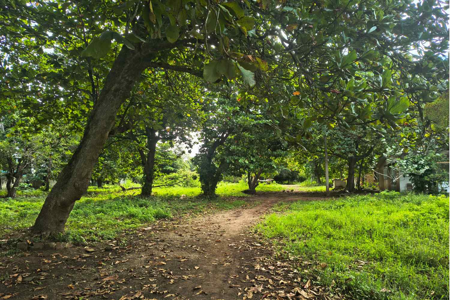 Prime development land Sosúa Center - Sosua Cabarete Real Estate